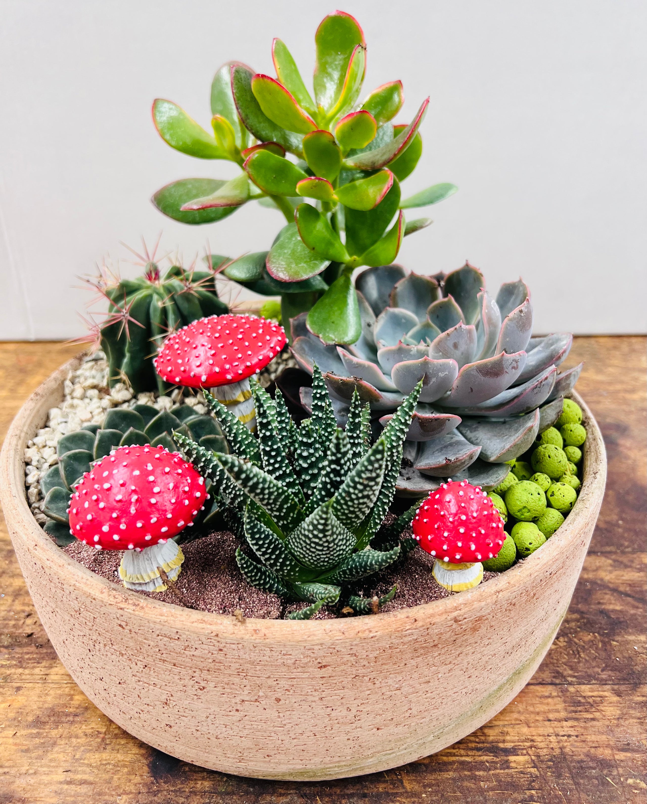 "whimsical mushroom" succulent/cacti planter | GREYHAVEN GARDENS
